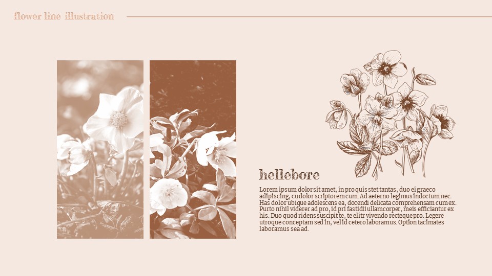 Flower Illustration Custom Google Slides