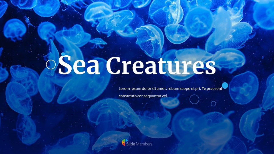 Sea Creatures Easy Slides Design|Nature|Google