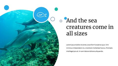 Sea Creatures Easy Slides Design|Nature|Google