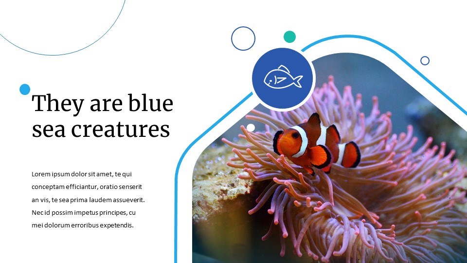 Sea Creatures Easy Slides Design|Nature|Google