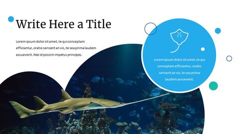 Sea Creatures Easy Slides Design|Nature|Google