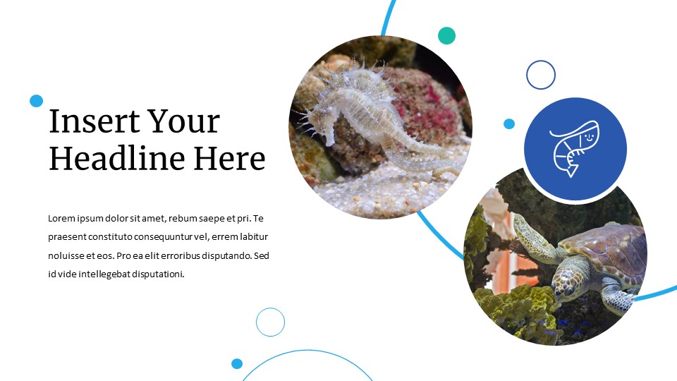 Sea Creatures Easy Slides Design|Nature|Google