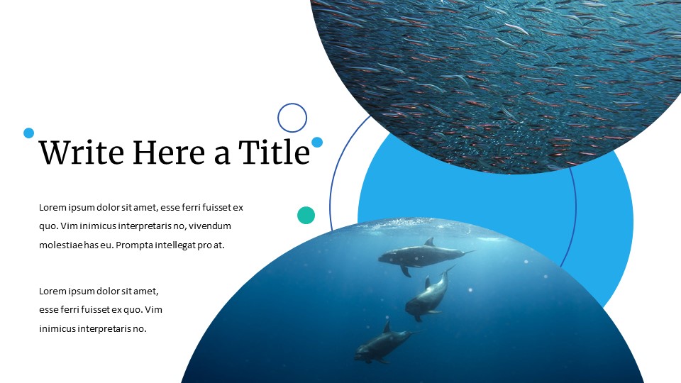 Sea Creatures Easy Slides Design|Nature|Google