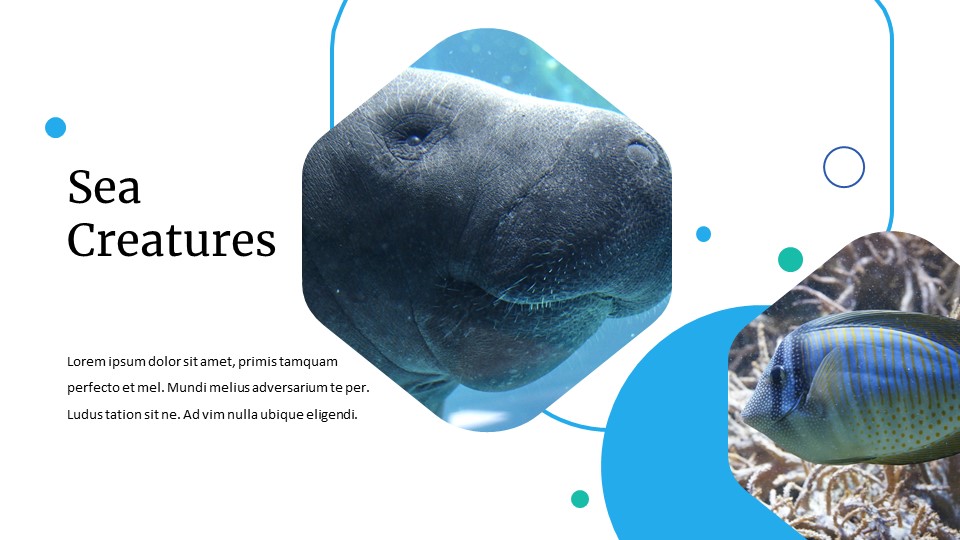 Sea Creatures Easy Slides Design|Nature|Google