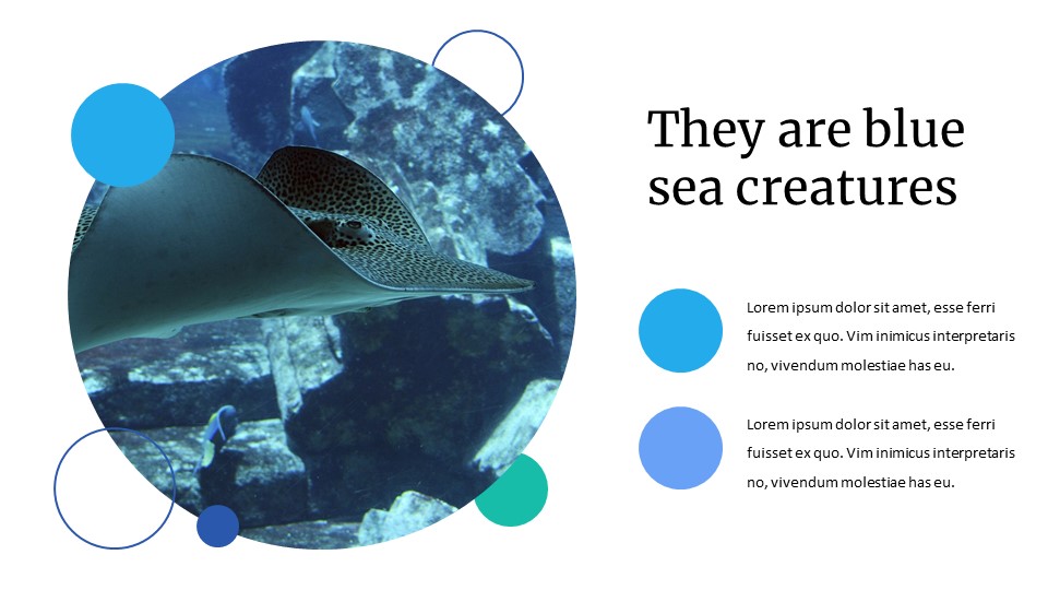 Sea Creatures Easy Slides Design|Nature|Google
