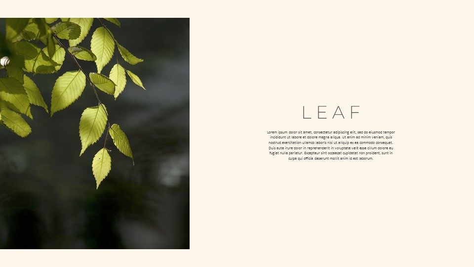 Green & Spring Simple Slides Design|Nature|Google