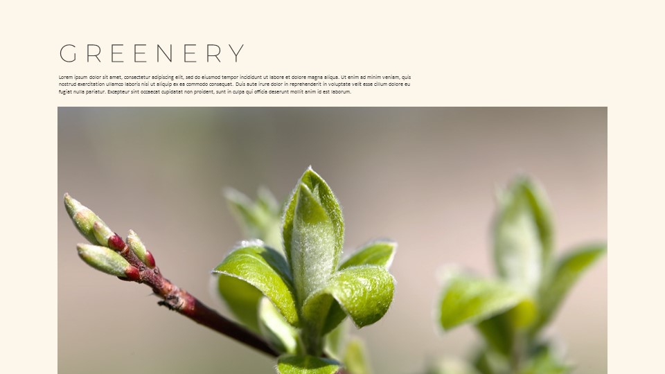 Green & Spring Simple Slides Design|Nature|Google