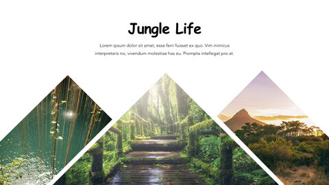 Jungle Theme Keynote Design