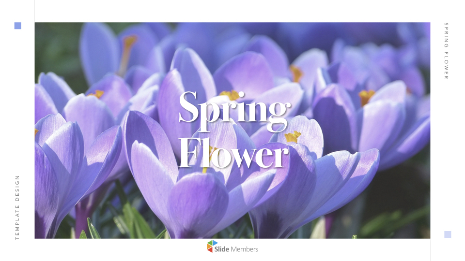 Spring Flower Keynote PowerPoint|Lifestyle