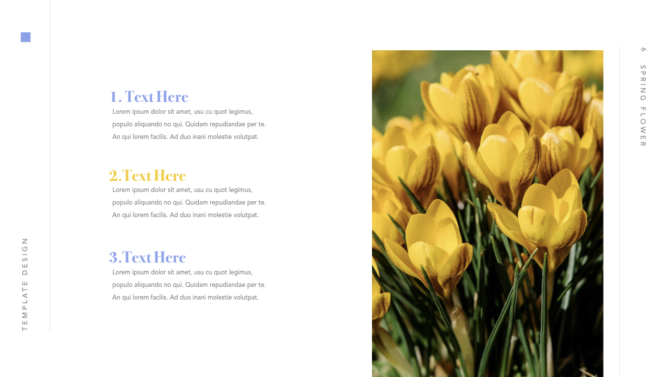 Spring Flower Keynote PowerPoint|Lifestyle