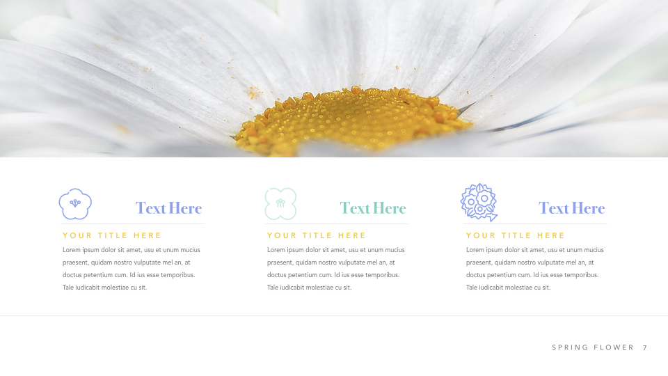 Spring Flower Keynote PowerPoint|Lifestyle