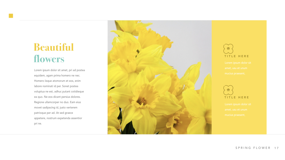 Spring Flower Keynote PowerPoint|Lifestyle