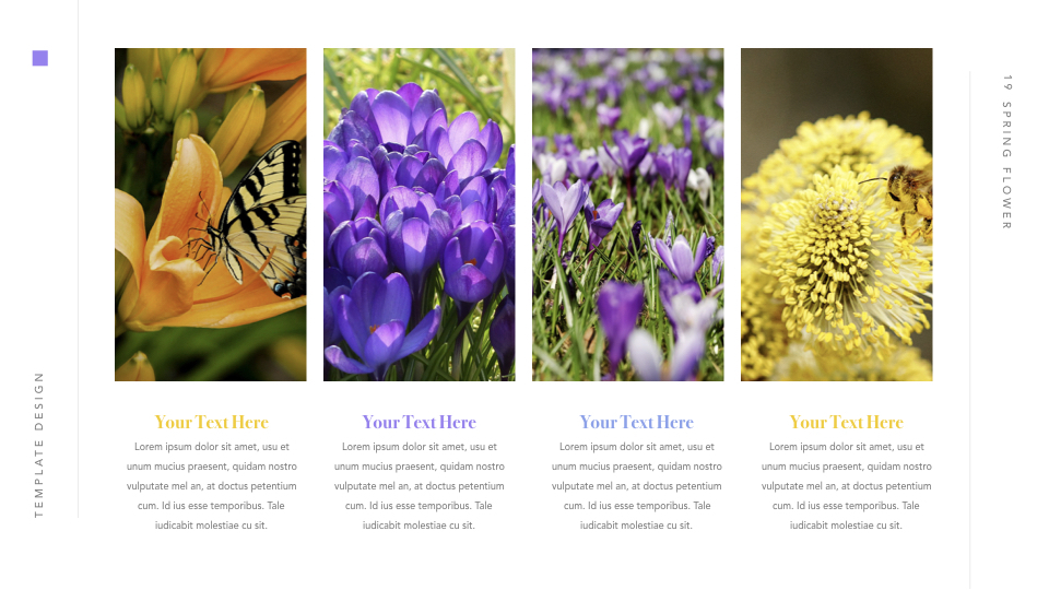 Spring Flower Keynote PowerPoint|Lifestyle