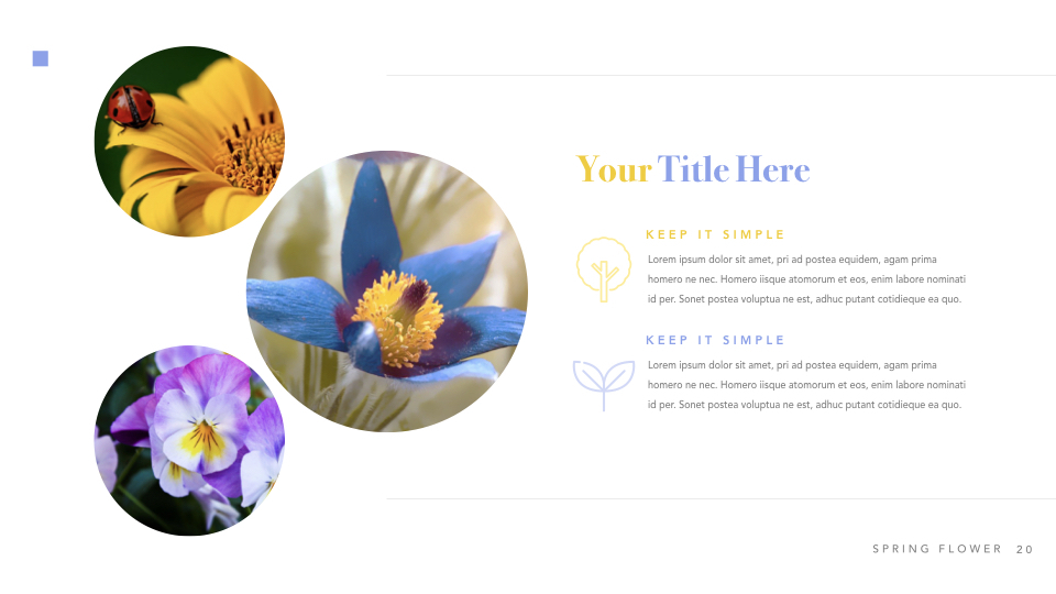 Spring Flower Keynote PowerPoint|Lifestyle