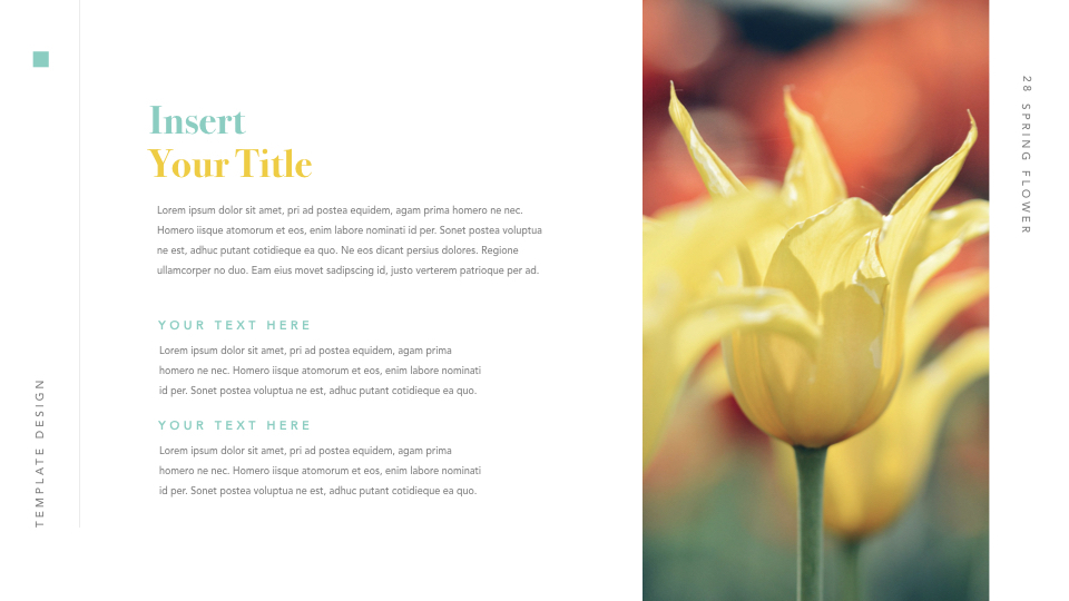 Spring Flower Keynote PowerPoint|Lifestyle