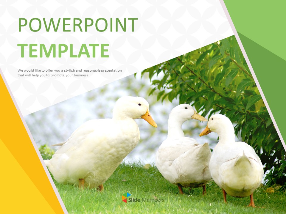 A White Duck - Free PPT Template
