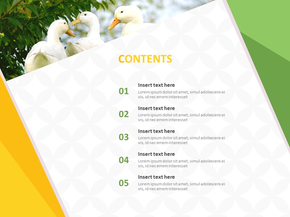 A White Duck - Free PPT Template