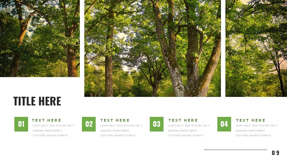 Mountain & Forest Simple Google Templates