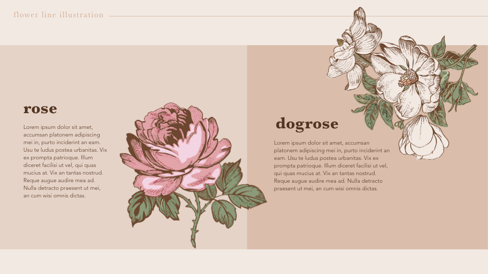 Flower Illustration PPT Keynote