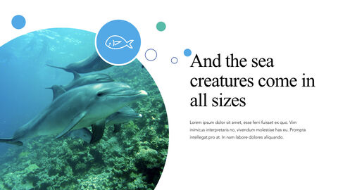 Sea Creatures PPT Keynote