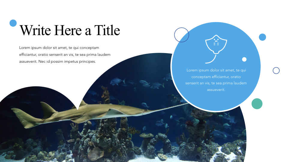 Sea Creatures PPT Keynote