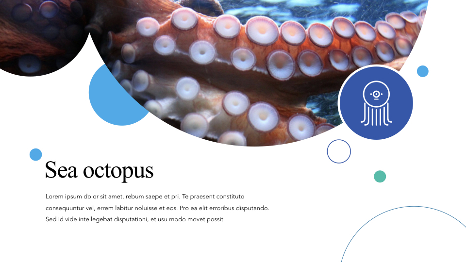 Sea Creatures PPT Keynote