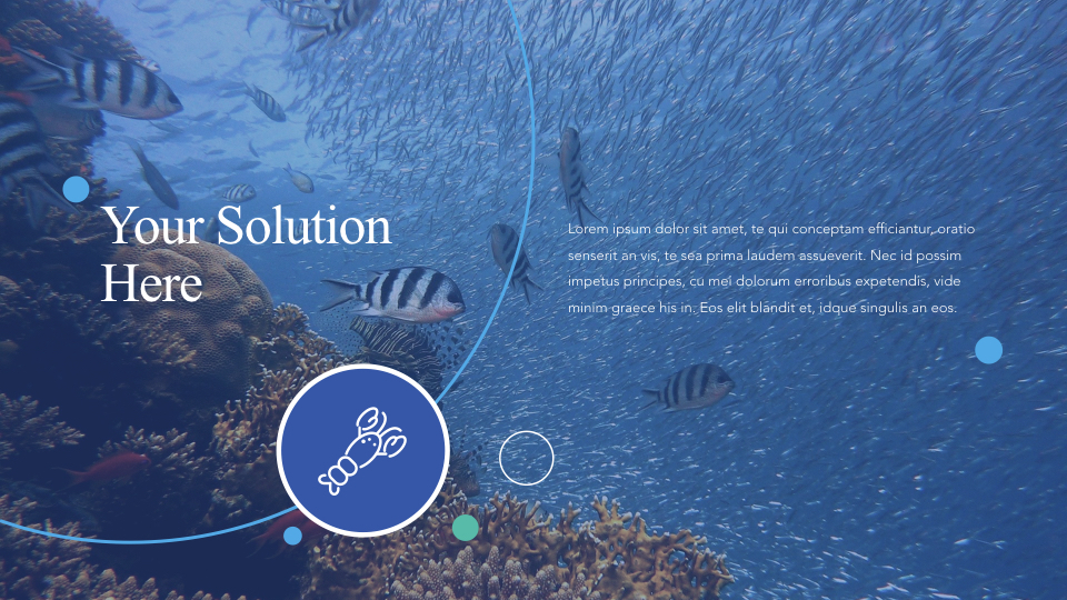 Sea Creatures PPT Keynote