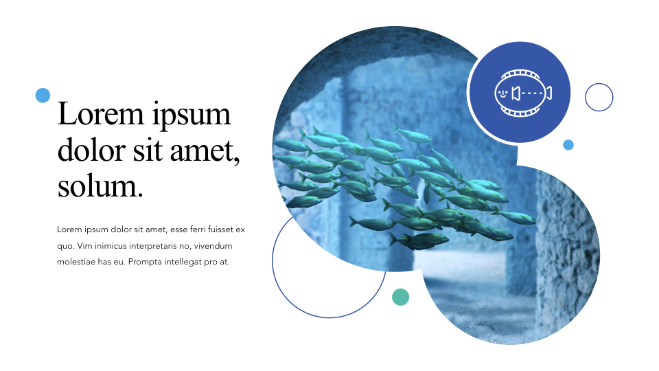 Sea Creatures PPT Keynote