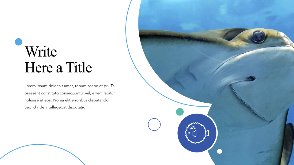 Sea Creatures PPT Keynote