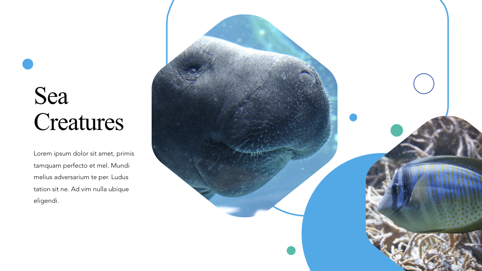 Sea Creatures PPT Keynote