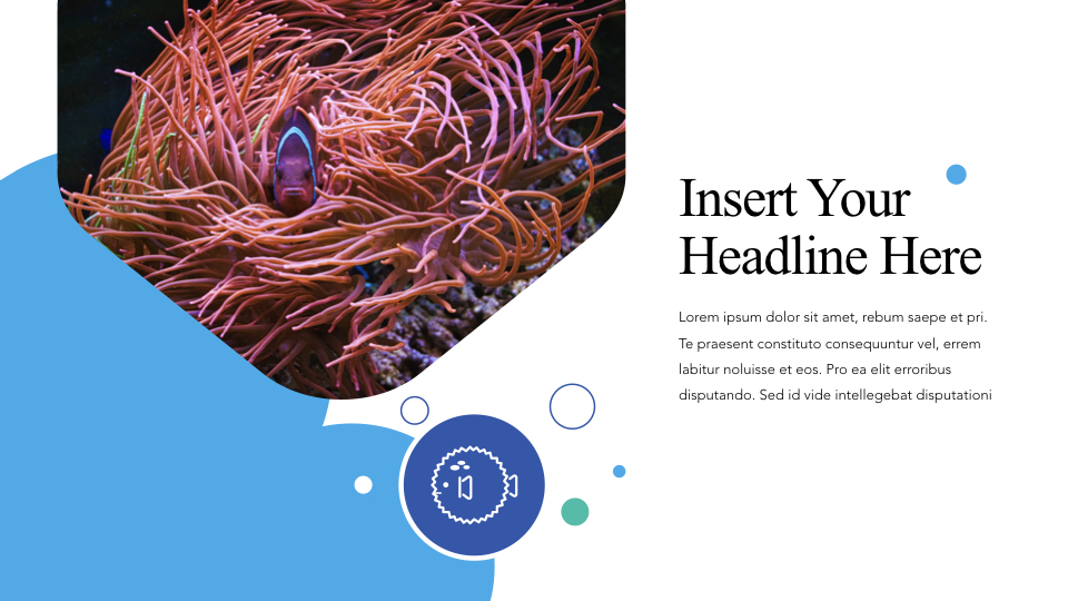 Sea Creatures PPT Keynote