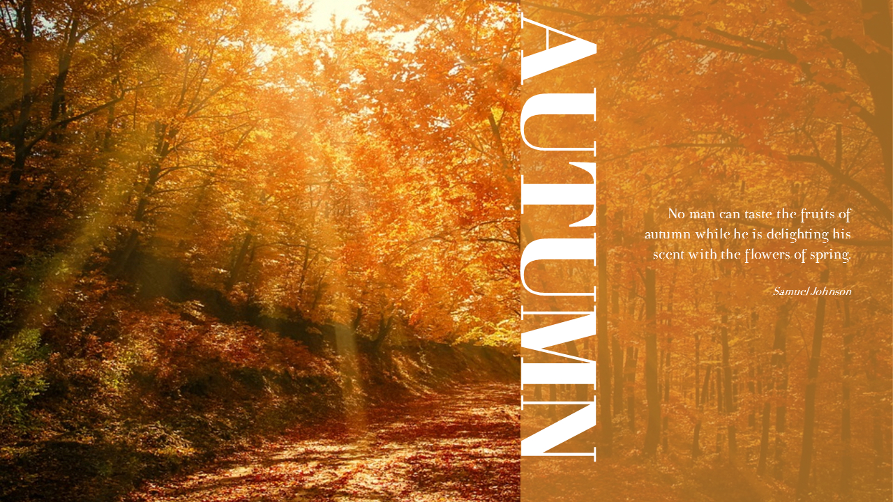 Free Fall|Theme Slides