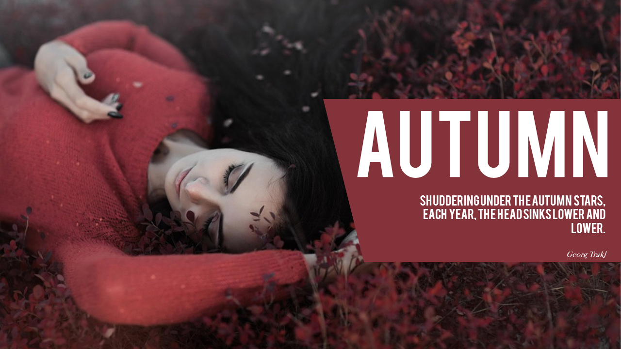 Free Fall|Theme Slides