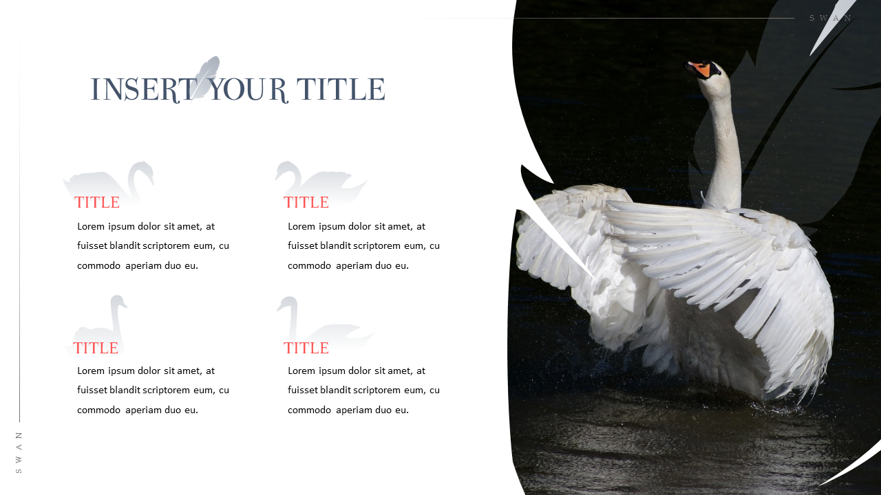 Swan Powerpoint Presentation