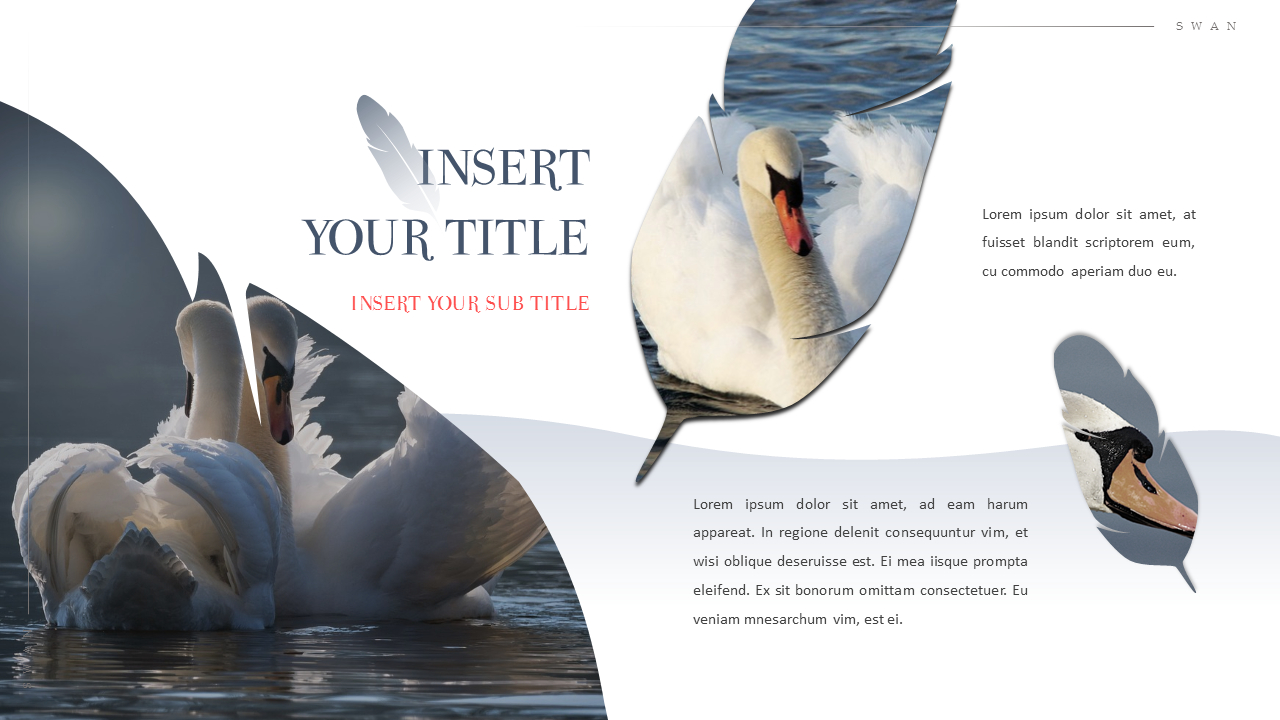 Swan Powerpoint Presentation