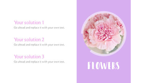 Beautiful pink flowers Slide Presentation