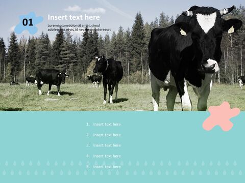 A Milk and Milk Cow - Free PPT Template