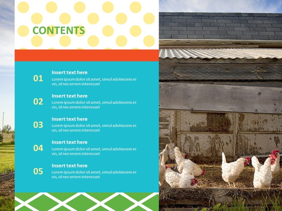Free Design Template - Henhouse at Chicken Farm