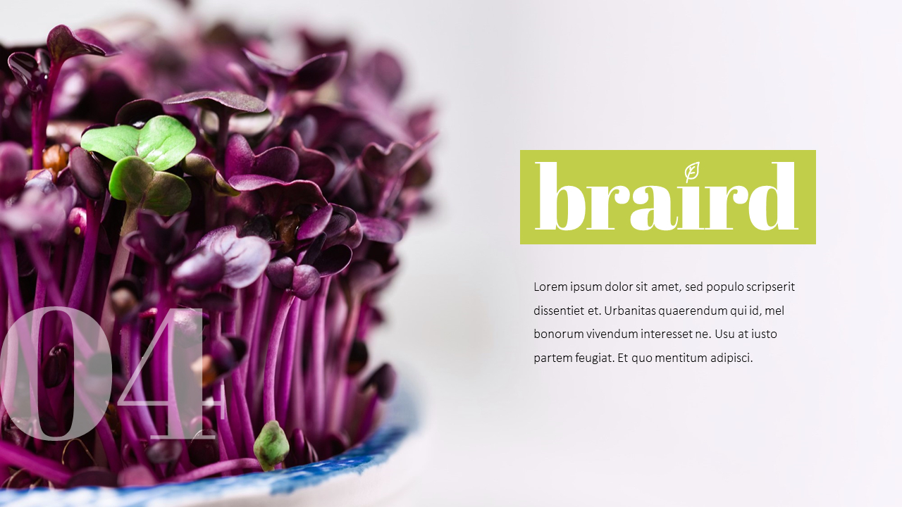 Organic Sprout PowerPoint Presentation Templates