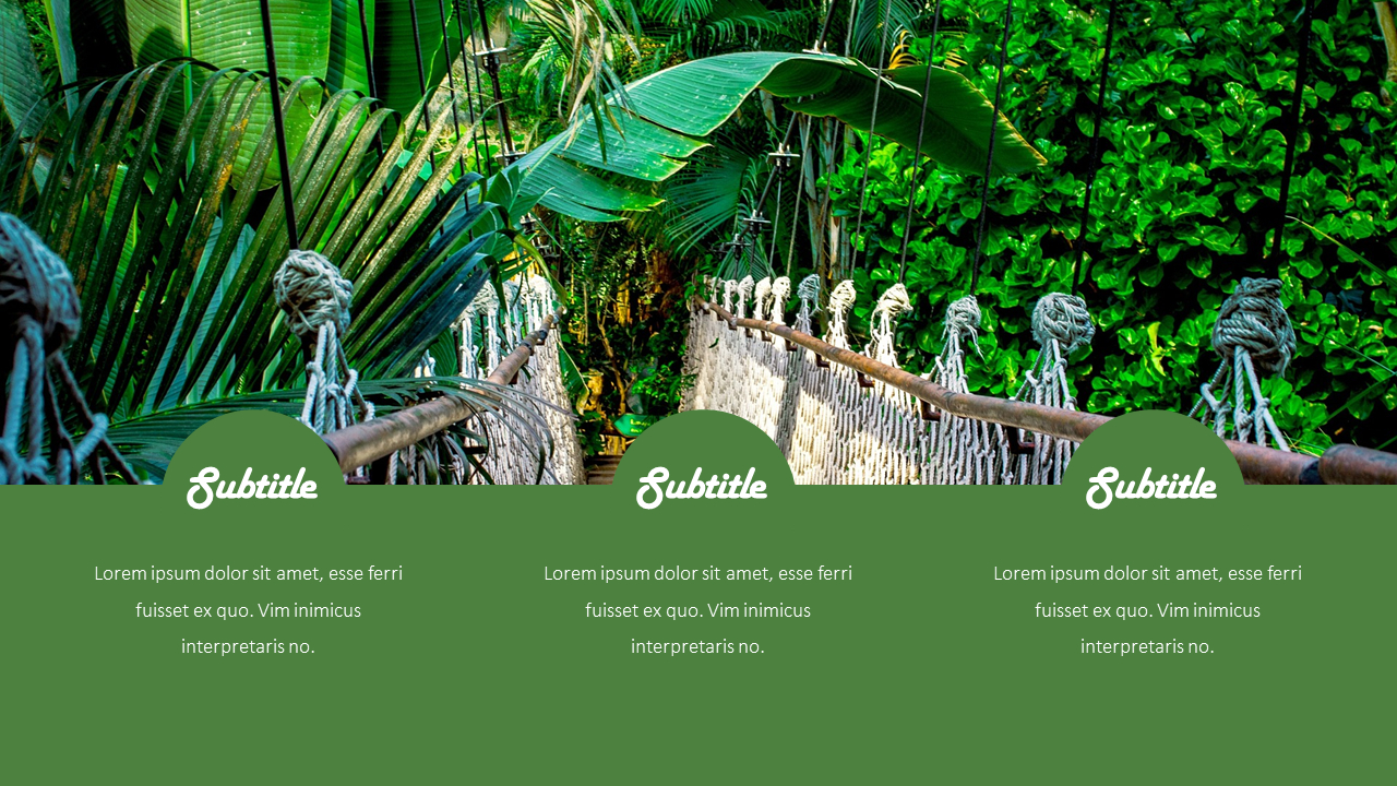 Jungle Action plan PPT