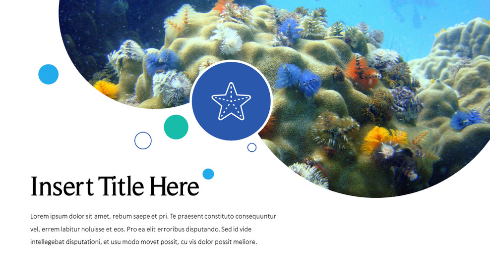 Criaturas del mar Plantillas para PowerPoint