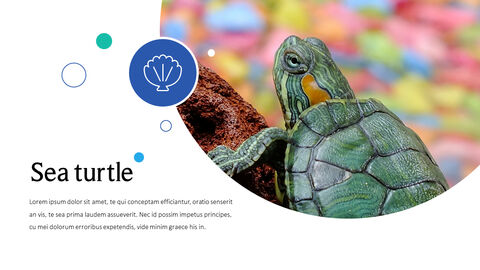 Sea Creatures Templates for PowerPoint