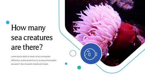 Sea Creatures Templates for PowerPoint