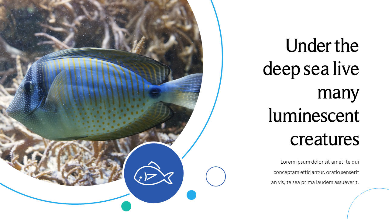 Sea Creatures Templates for PowerPoint