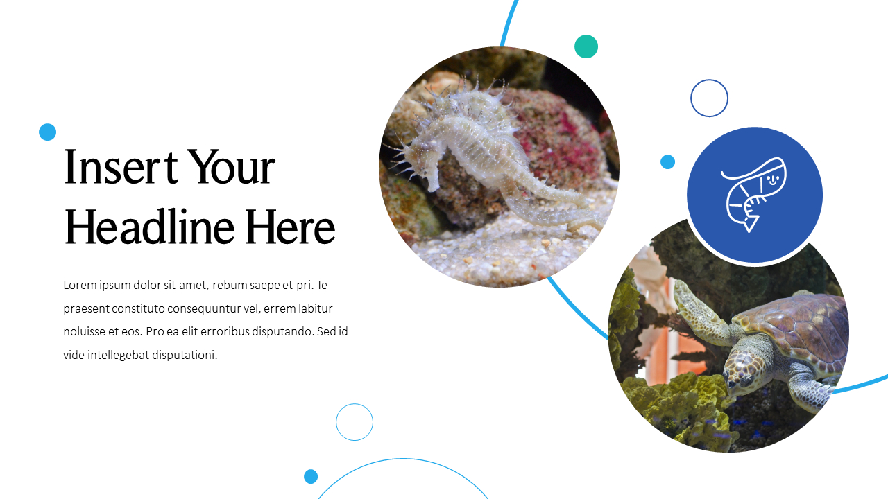 Sea Creatures Templates for PowerPoint