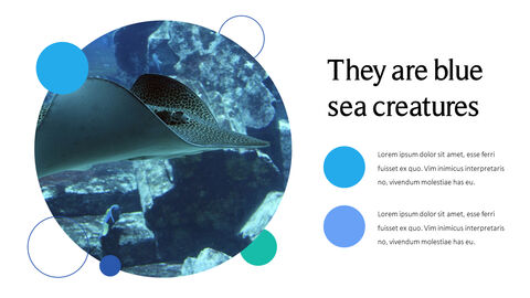 Creature marine Modelli per PowerPoint