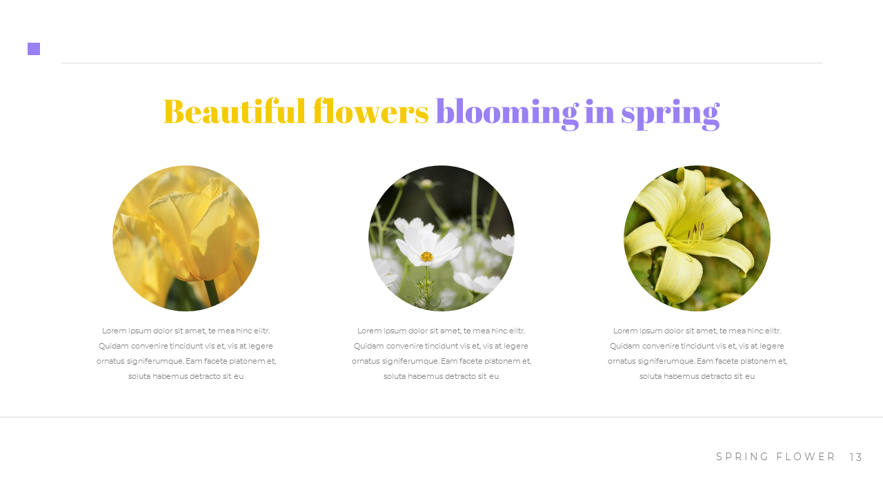 Spring Flower Business plan PPT
