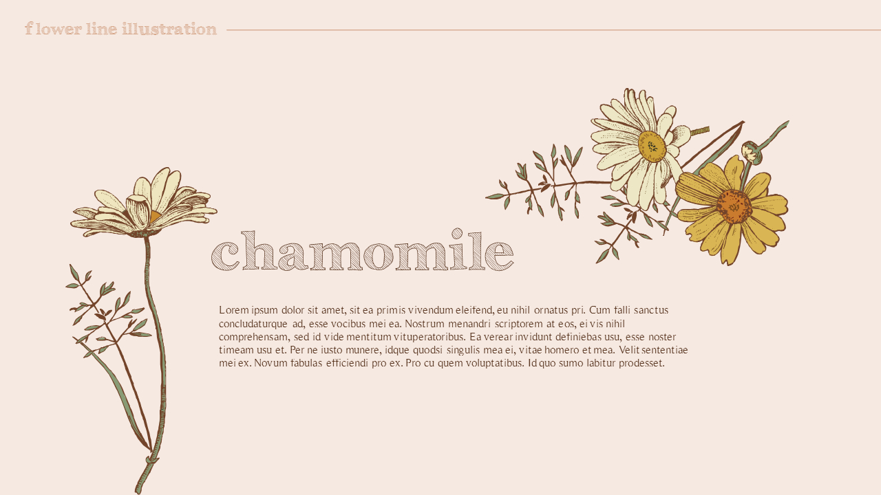 Pastel Flower Illustration Premium PowerPoint Template