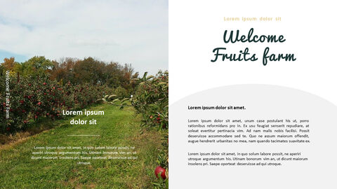 Fruits Farm Presentation Design
