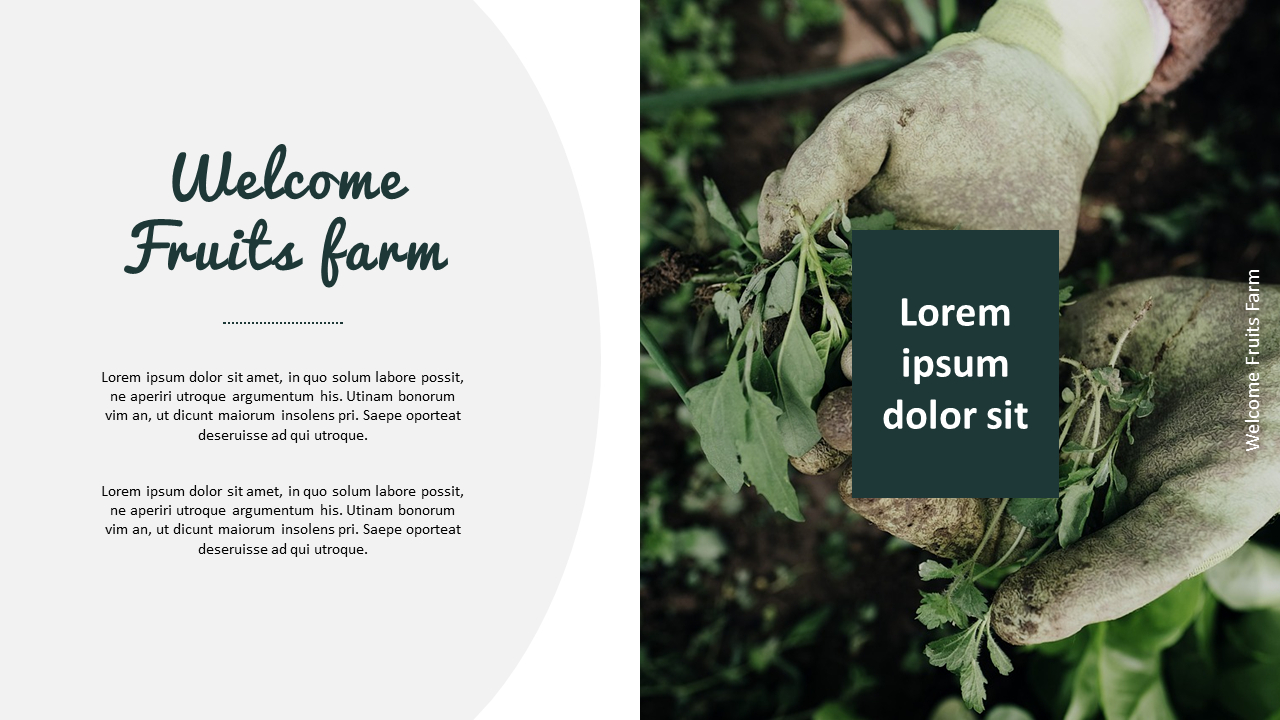 Fruits Farm Presentation Design